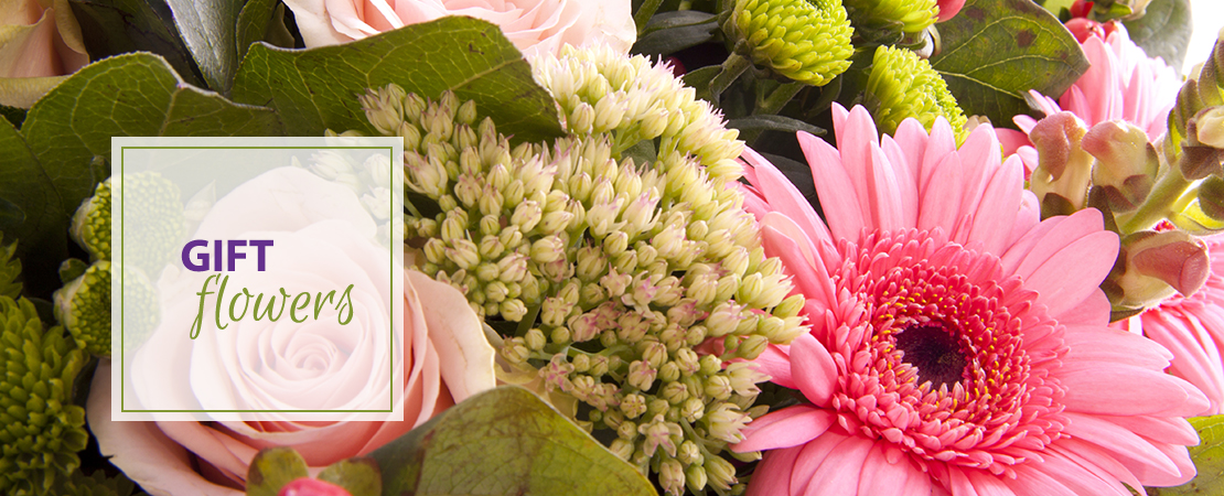 flower centre sheffield